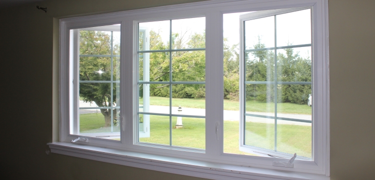 WINDOWS OF LIFE - WORLD CHANGERS NETWORK